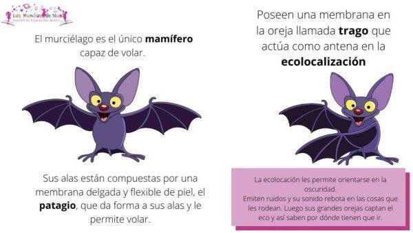 Actividades infantiles de murciélagos | Juegos de reciclaje